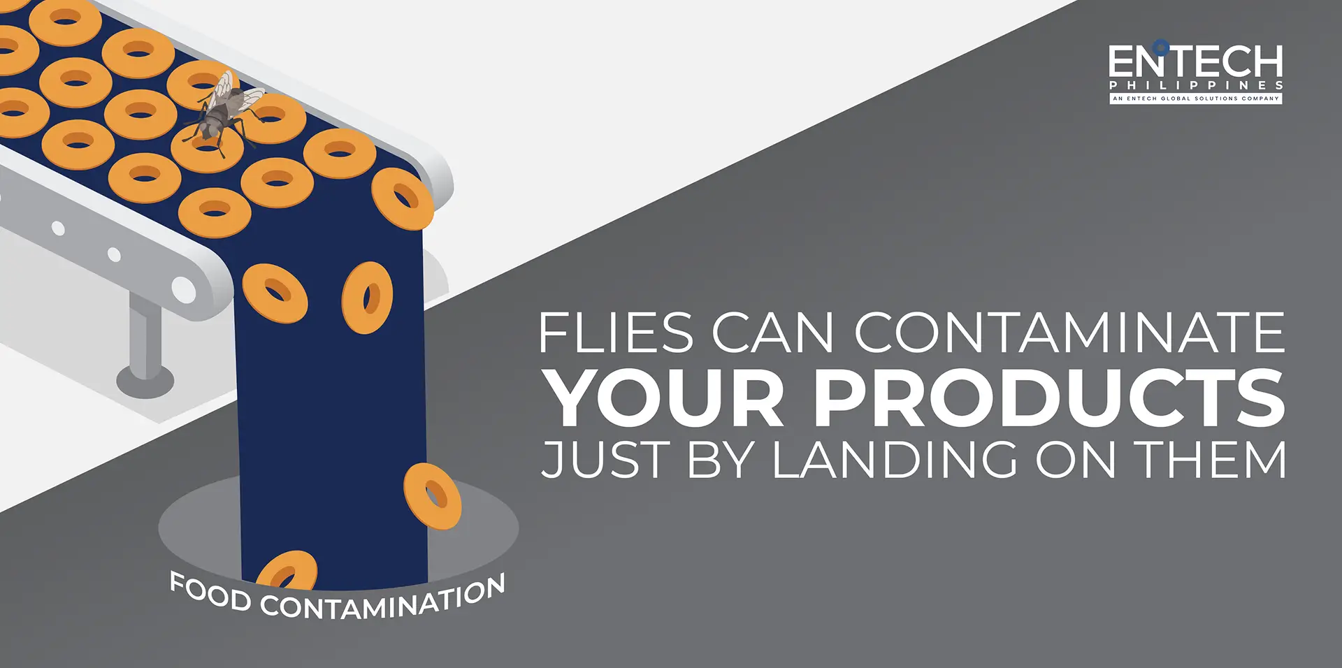 One Fly Sighting is Enough Risk to Your Food Safety Compliance – Entech PH